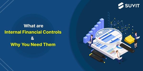 Internal Financial Control: Business Owners & Managers Guide